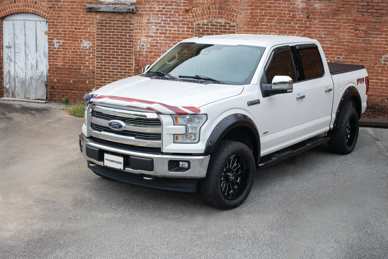 Stampede 15-20 Ford F-150 (Excl. Raptor) Vigilante Premium Hood Protec ...